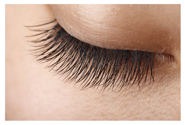 Silk Eyelash Extensions – Eyelash Extensions Sydney – The Lash Studio